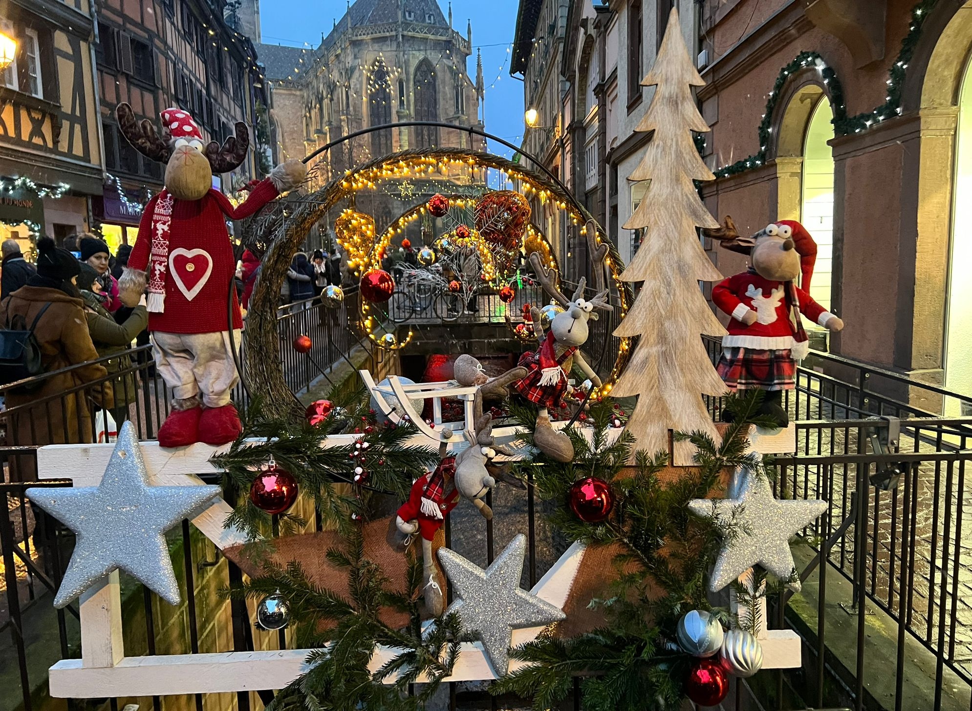 Didi's Library – Blog littéraire